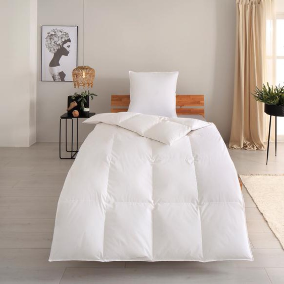 Daunendecken online kaufen bis -75% Rabatt | Möbel 24