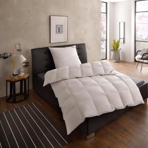 Daunendecken online kaufen bis -75% Rabatt | Möbel 24