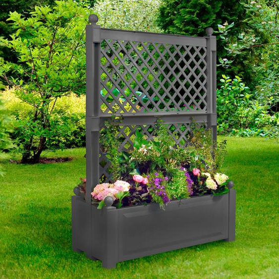 Spaliere online kaufen ab 7 EUR | Möbel 24